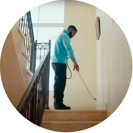 About us – Caribbean Pest Solutions